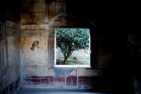 Premium Photo View Of Tree Through Window