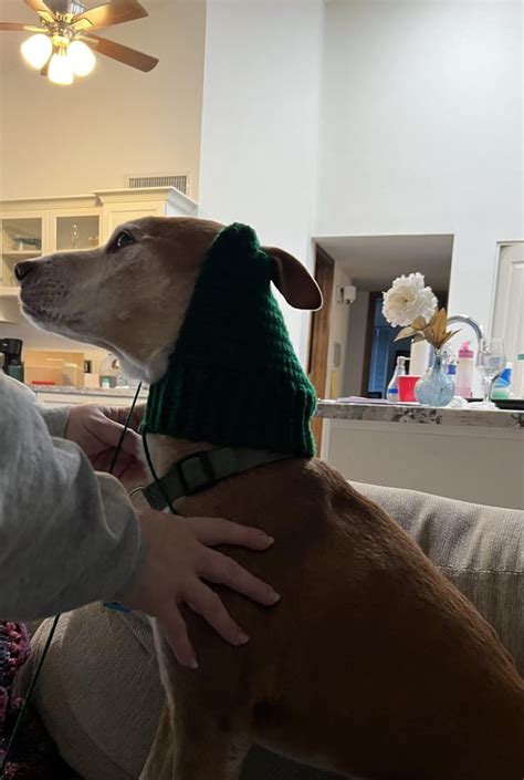 Man Dressed As Santa Arrested And Pepper Sprayed At Bunnings Rstraya