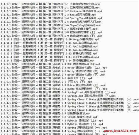 java狂野架构师4期 2023年 视频教程 下载 java知识分享网 免费java资源下载