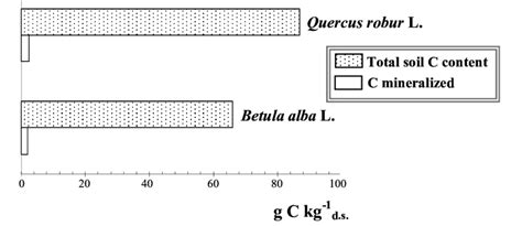 Total Soil C Content And Quantity Of C Mineralized At The End Of The Download Scientific