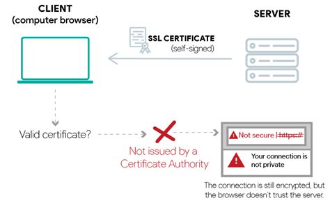 ESP ESP Avec Cryptage HTTPS Et SSL TLS Concepts De Base