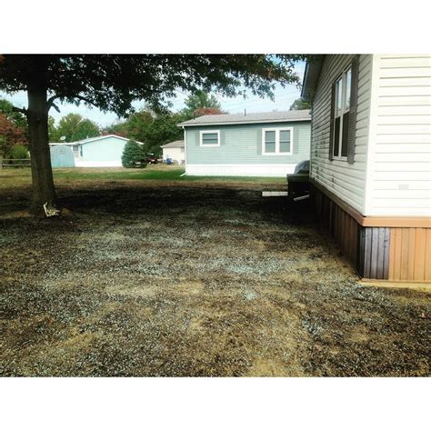 Thatch Aerate And Overseed For A Healthy And Green Lawn