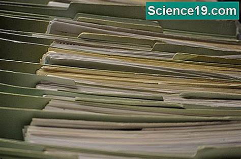 Jakie Są Pięć Przykładów Coniferophyta 💫 Naukowe I Popularne Portal Multimedialny 2025