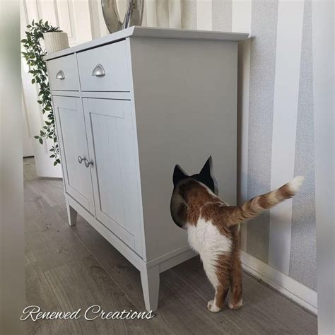 12 Stylish Diy Cat Litter Box Enclosures Hidden Litter Box Ideas Artofit