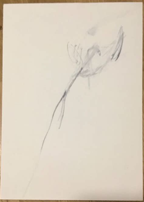 Barbara Ellmerer 1956 Sehr Seltener Lithographie Handsigni Gebraucht