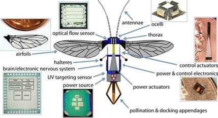 Five Examples Of Insect Inspired Robotics Digitized Robohub