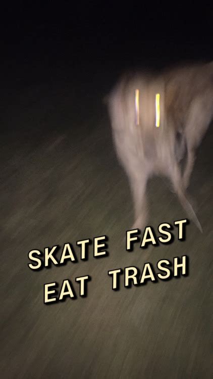 Post [190134085280] Ghoul Tumbex