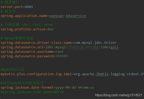 Reason Failed To Determine A Suitable Driver Class Springboot配置了数据源，启动