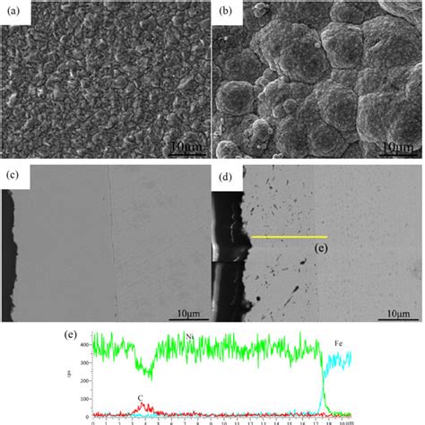 Surface Morphologies And Cross Sections Of Coatings A C Pure Ni