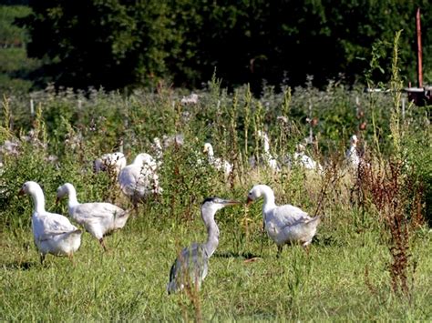 Interloper Pictures Imperfect Blog