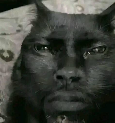 Fans De Calzoski Hombre Fútbol De Bario