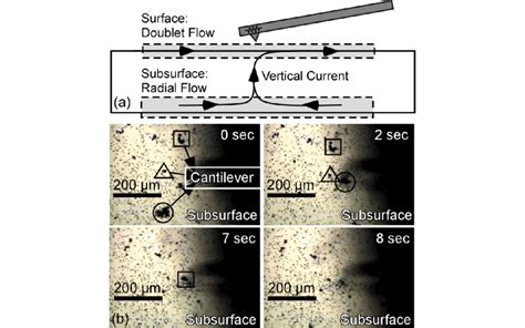 9 A Schematic Of Subsurface Particle Flow 80 µm Below The Surface