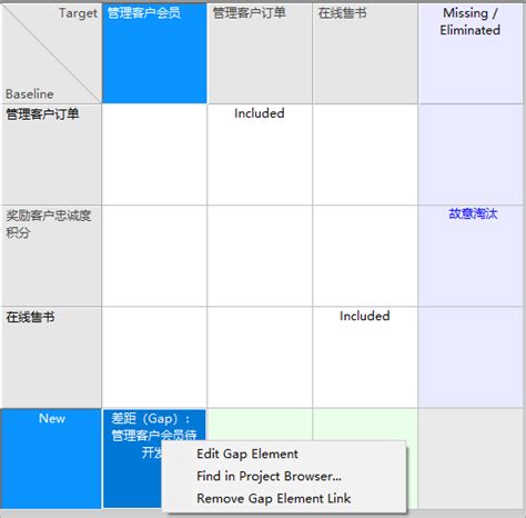 Gap Analysis Matrix（差距分析矩阵）