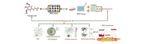 Journal Of Biomolecular Structure And Dynamics Vol 42 No 23