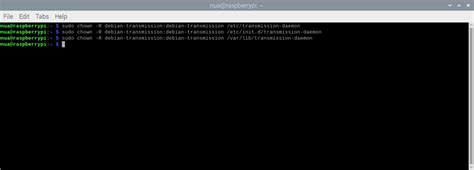 How To Convert Raspberry Pi Into A 24x7 Torrent Box
