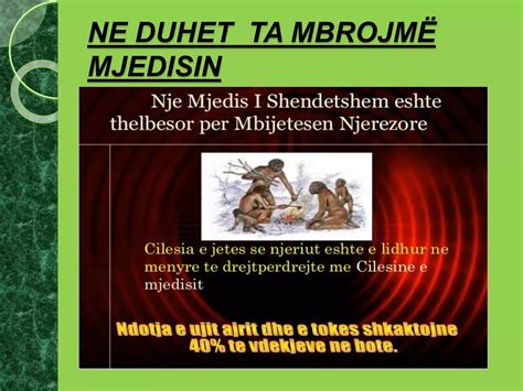 Projekt Ndotja E Mjedisit Pptx Projekt Ndotja E Mjedisit Pptx