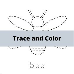 Trace And Color Bee My Teaching Library MyTeachingLibrary Com