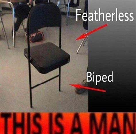 Duck Typing Be Like R Programmerhumor