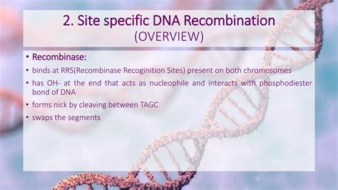 Types Of Dna Recombination Pptx Genetics Science