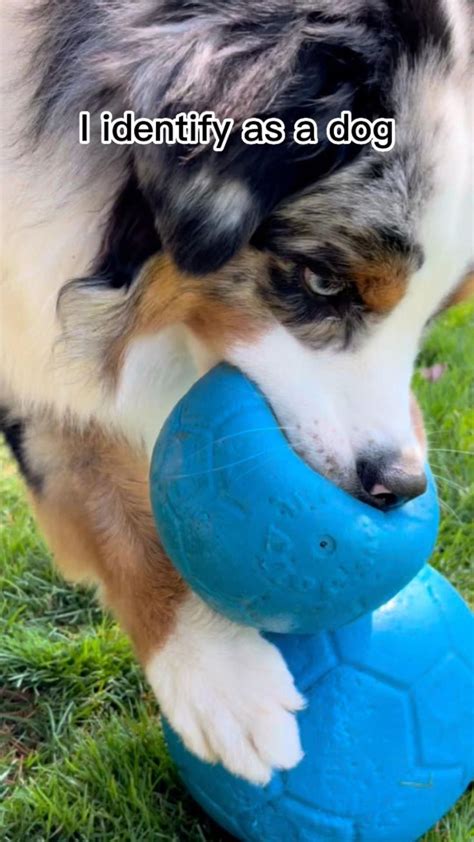 How Does Lasso Identify