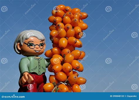 Lego Duplo Toy Figure Of Elder Lady With Spectacles And Grey Hair Standing Next To Dense Cluster