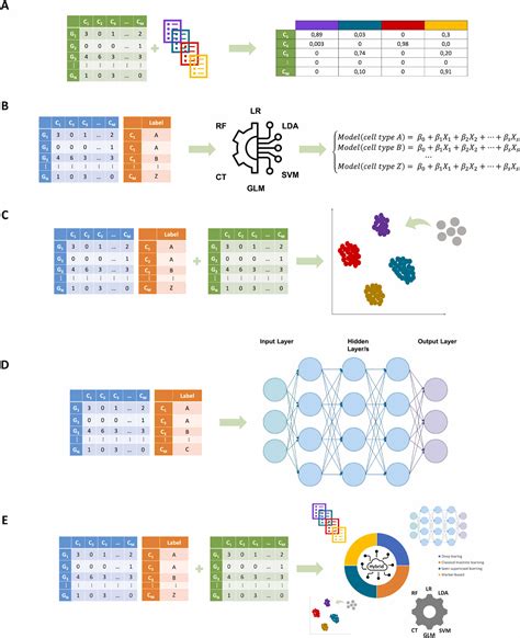 Mapping Cell Identity From Scrna Seq A Primer On Computational Methods Computational And