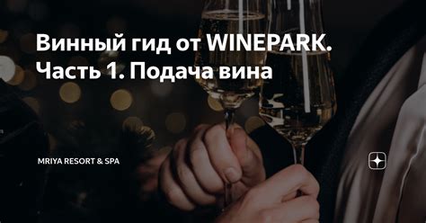 Винный гид от WINEPARK. Часть 1. Подача вина | Mriya Resort & SPA | Дзен
