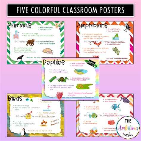Animal Classification Posters Vertebrates Colorful Posters For