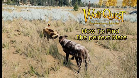 How To Find The Perfect Wolfquest Ae Mate Youtube