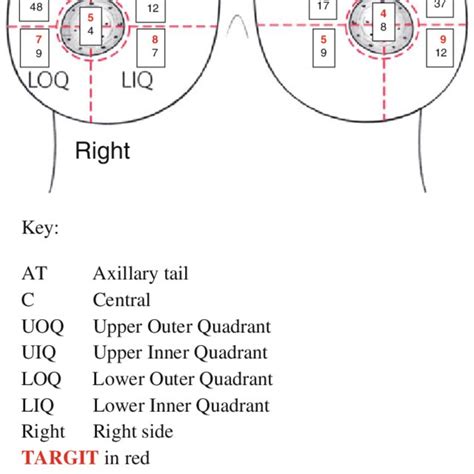 Anatomical Distribution Of Tumours Download Scientific Diagram
