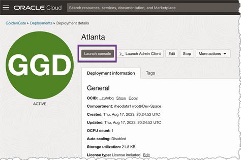 goldengate service ggs deployment configuration rheodata