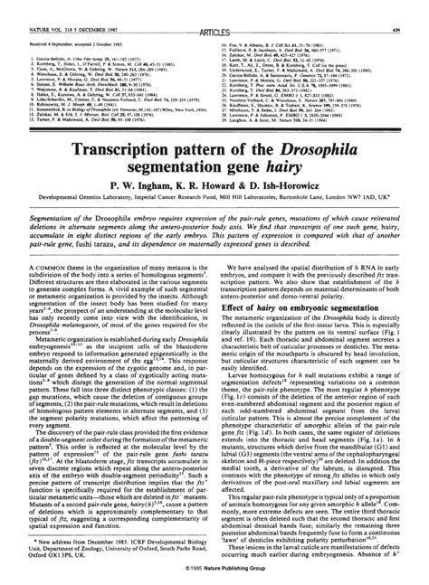Pdf Transcription Pattern Of The Drosophila Segmentation Gen Hairy