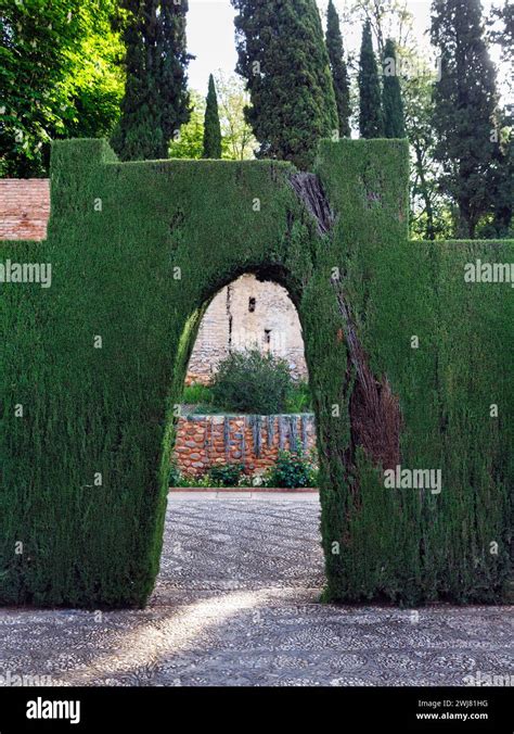 Hedge With Passageway Archway In Garden Thuja Topiary Generalife