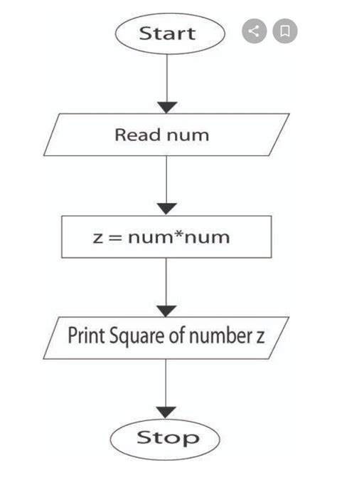 Draw The Algorithm Of Square Of A Number Phote