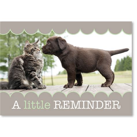 Standard Veterinary Reminder Postcards Nosey Reminders Veterinary Supplies