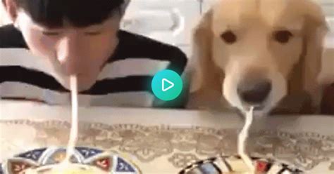 Everybody Wins Album On Imgur