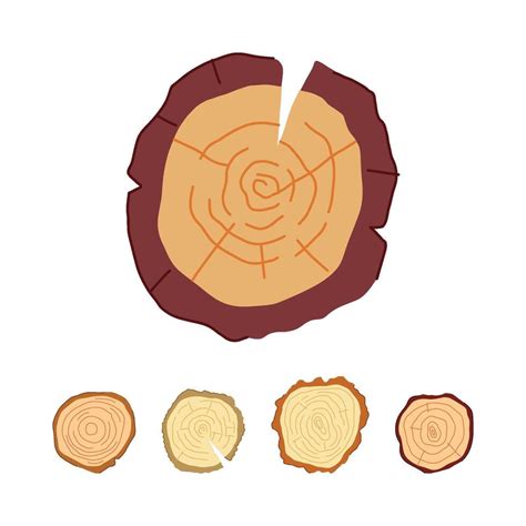 Wood Cross Sections Collection With Tree Rings Texture 80234100 Vector