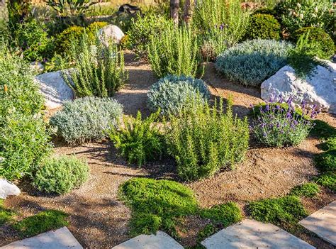 Landscape Articles For Las Vegas Backyard Landscapes And Design