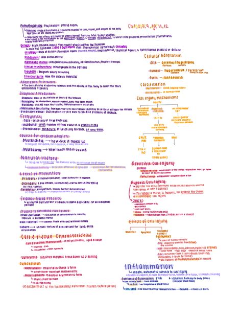 Unit 1 Pathophysiology Thophysiology