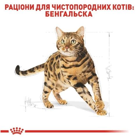 Сухой корм Royal Canin Bengal Adult для взрослых бенгальских кошек, 2 ...