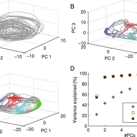 Working Memory Induce Low Dimensional Network Dynamics A First 3 Download Scientific Diagram