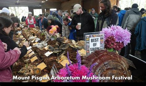 Mushroom Festival Eugene Oregon North American Mycological Association