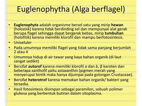 Pyrophyta Dan Euglenophyta Pptx