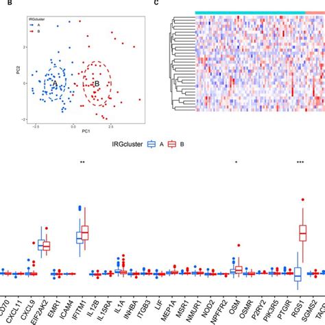 Subtype Classification Based On 33 Differentially Expressed Irgs A