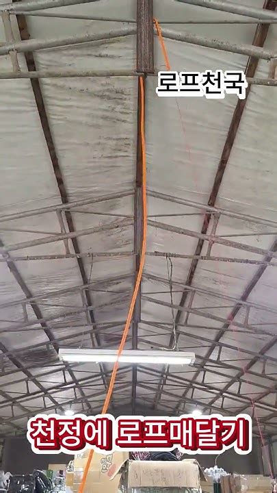 로프천국 작업장 천정에 트리클라이밍 방식으로 로프를 설치하고 있습니다 자일로프 로프 로프매듭 클라이밍 매듭 아보리스트 트리클라이밍 매듭법 로프천국 등산