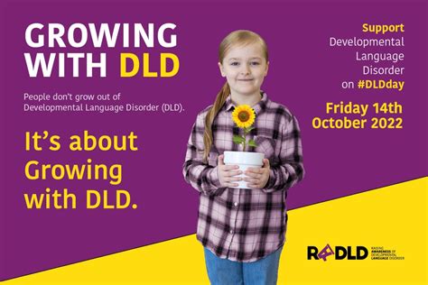 Developmental Language Disorder Dld A Free Guide For Families Revised And Updated Banter