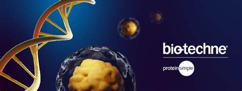 Sepax Technologies Inc The Downstream Processing Of Bispecific Antibodies Presents A Unique