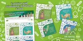 Inheritance PowerPoint Teacher Made Twinkl