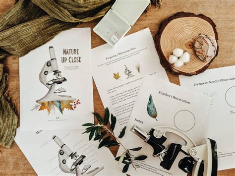Printable Microscope Guide Digital Download Science Etsy