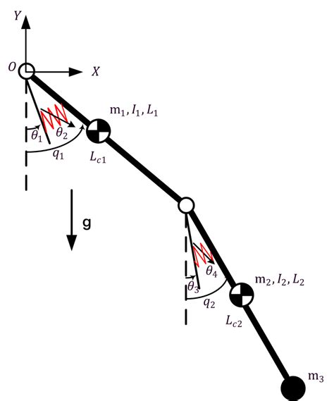 Schematic Drawing Of Two Link Variable Stiffness Actuated Robot With Download Scientific